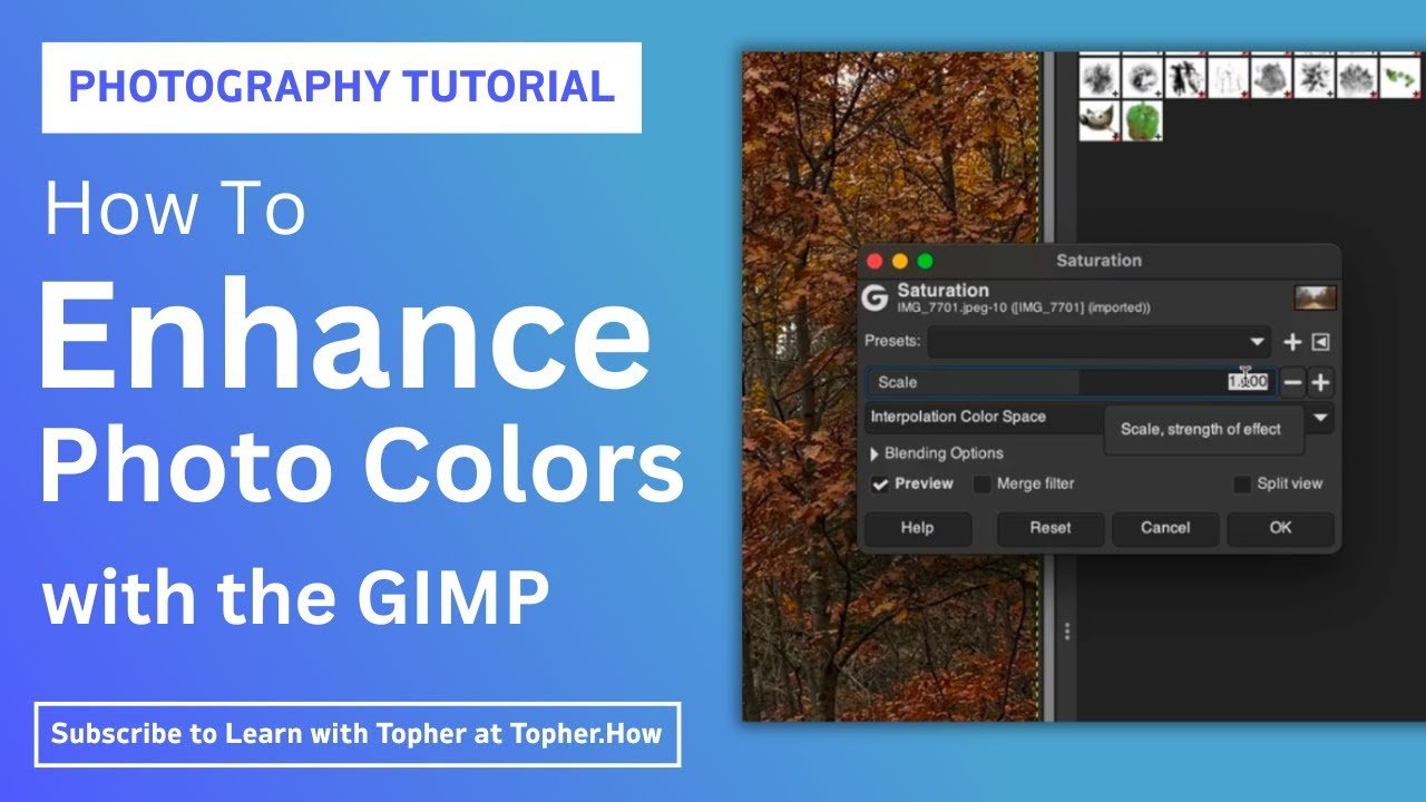 Enhance Colors In Your Photos With The GIMP - Topher.How